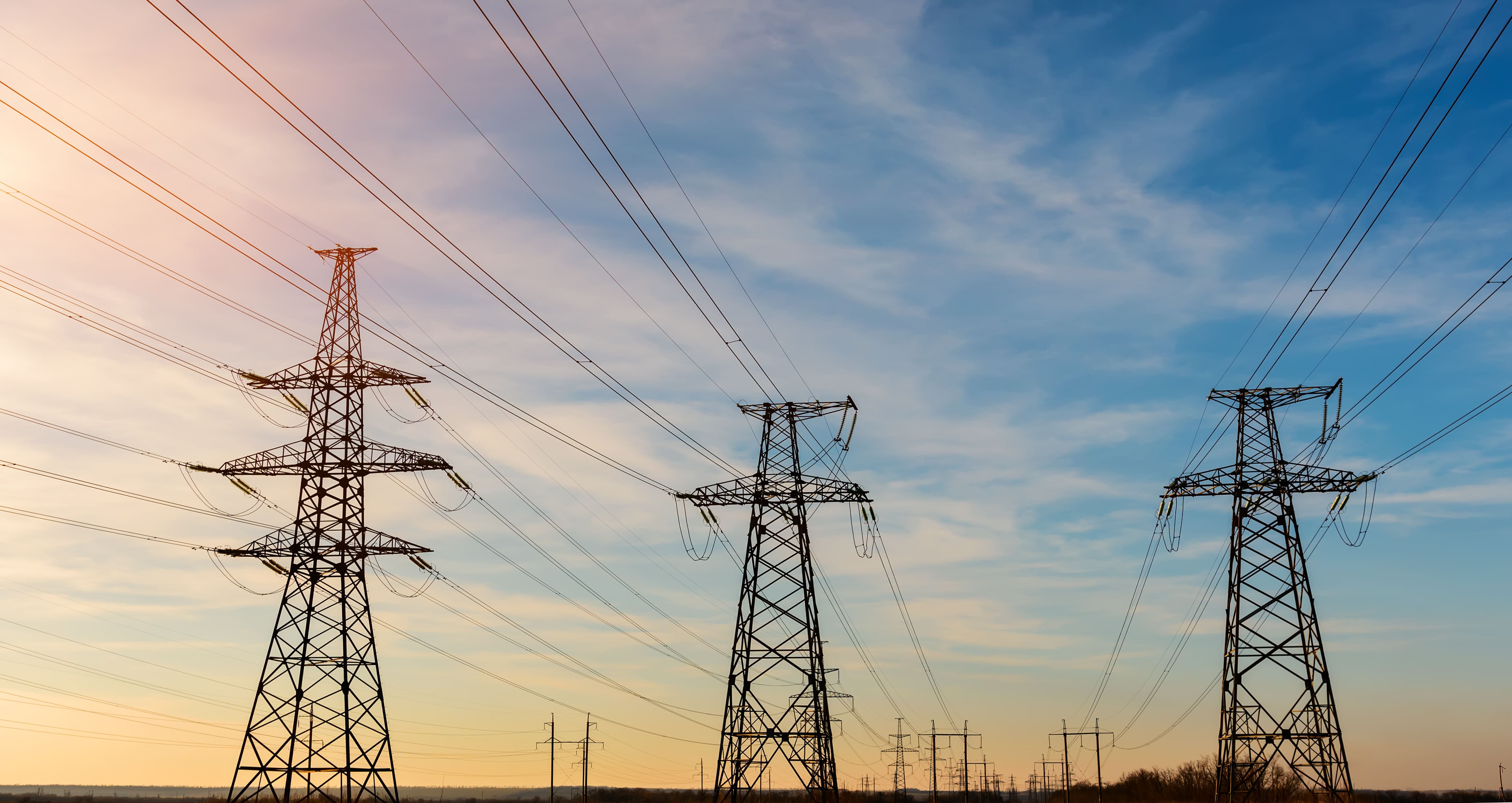 Comments from the Electrification Alliance on the ENTSO-E and ENTSO-G ...